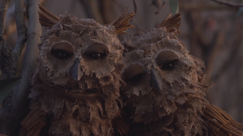 Teddles by Jonny & Will - Blinkink